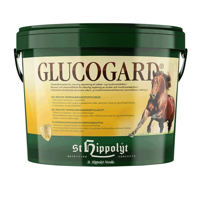 GlucoGard :: Hestdalen